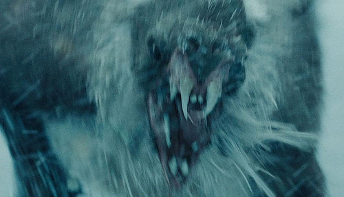 Djur - Teman | Star Trek Databas